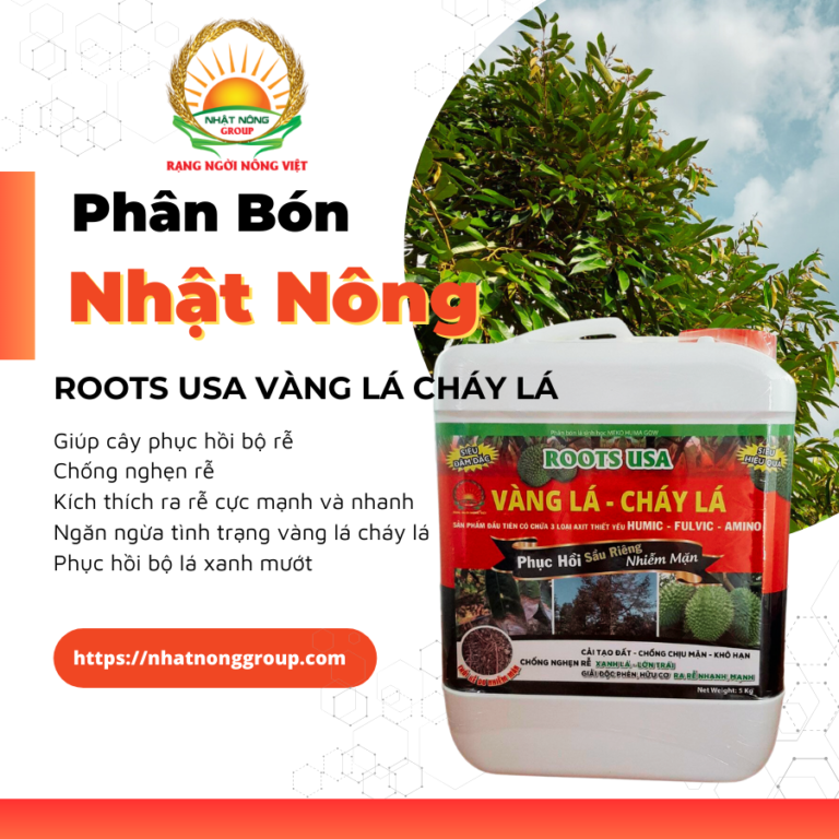 Giải pháp phục hồi cây sầu riêng trên vùng đất bị nhiễm mặn - Nhật Nông ...