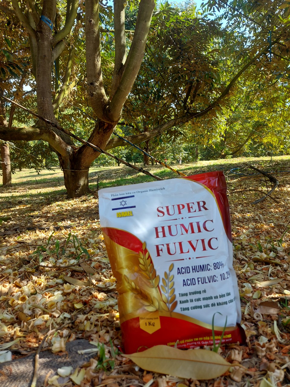 4 công dụng của Supper Humic Fulvic đối với cây sầu riêng - Nhật Nông Group