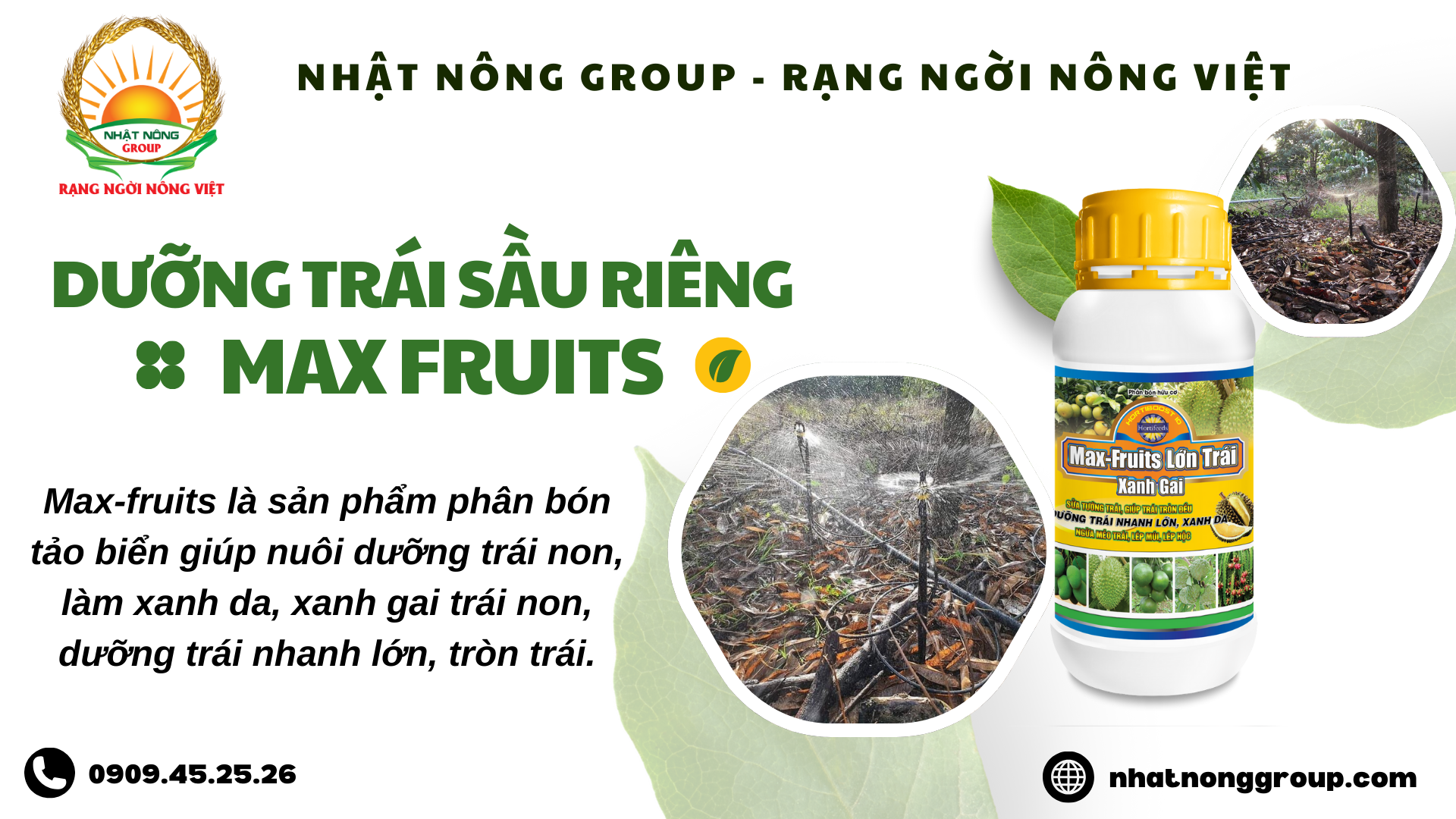 Nuôi dưỡng trái non sầu riêng với Max Fruit 500ml - Nhật Nông Group