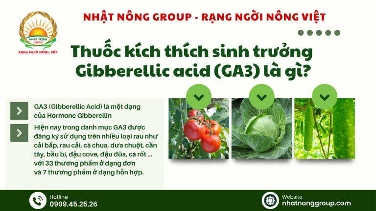 Thuốc GA3 có tác dụng gì? Liều lượng sử dụng Gibberellic Acid? - Nhật ...