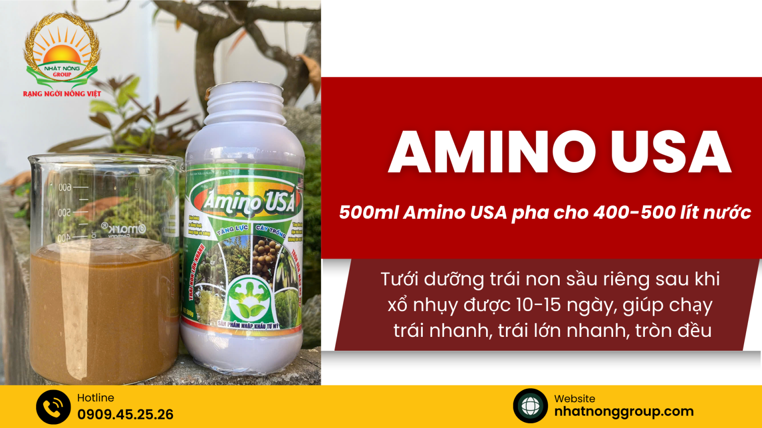 Phân bón lá Amino USA giúp tăng lực cây, thúc trái sầu riêng lớn nhanh - Nhật Nông Group