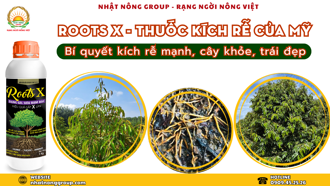 Roots X bí quyết kích rễ mạnh, cây khỏe, trái đẹp - Nhật Nông Group