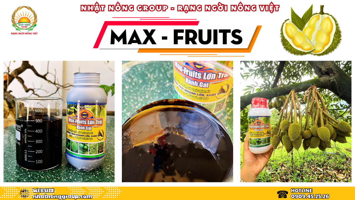 Max-fruits lớn trái xanh gai: Giải pháp dinh dưỡng hữu cơ từ Anh Quốc ...